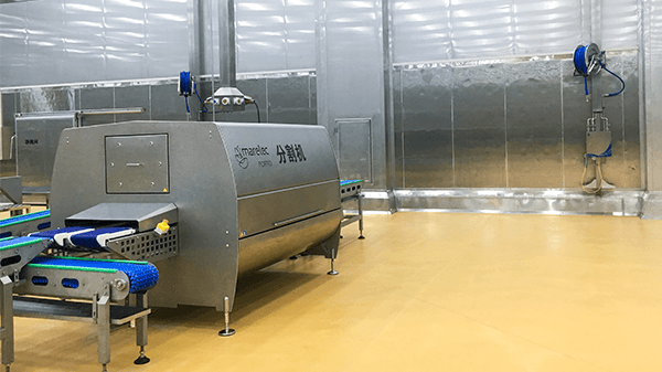 How a Foam Cleaning Machine Can Revolutionize Your Food Factory ...